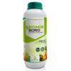 Biomix Boro - Del Monte AG
