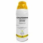 Calfodem - Del Monte AG