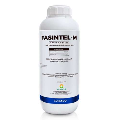 Fasintel - Del Monte AG