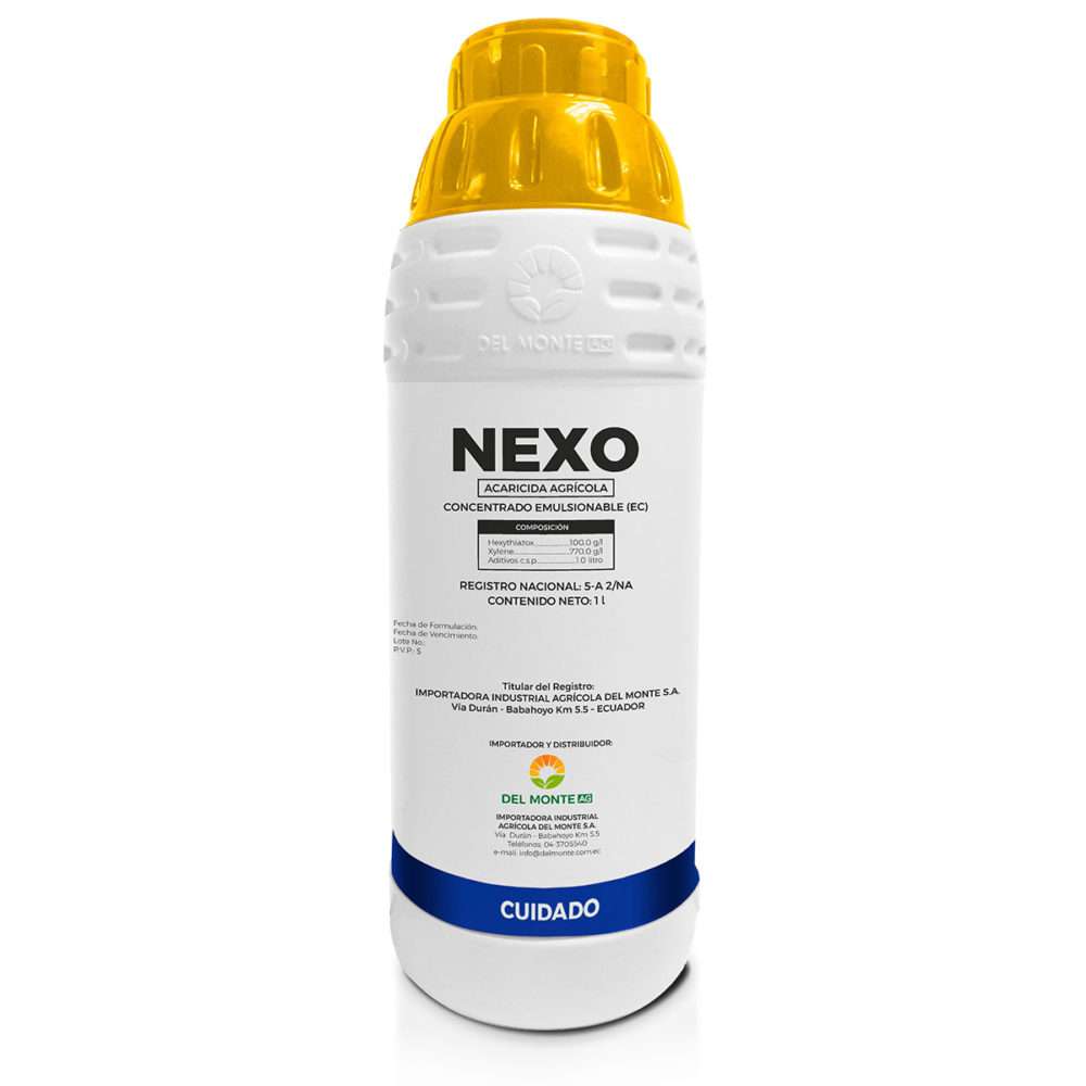 Nexo - Del Monte AG