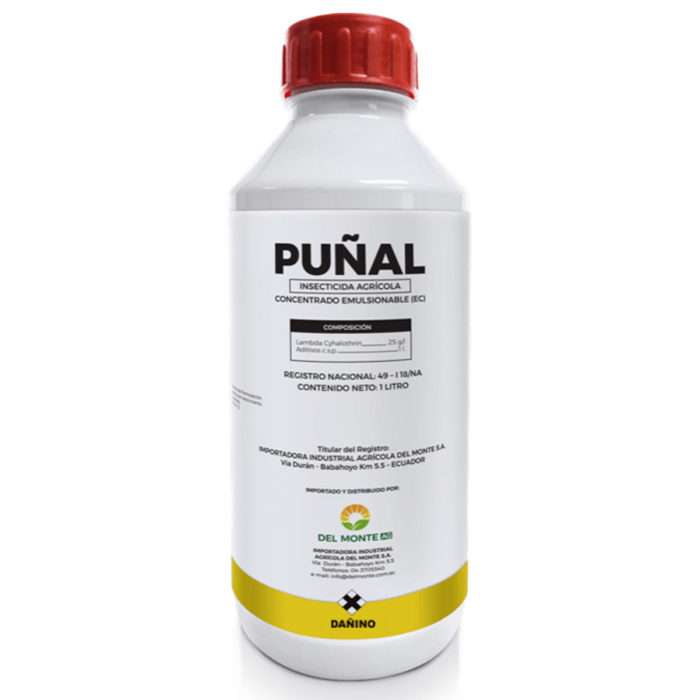 Puñal - Del Monte AG