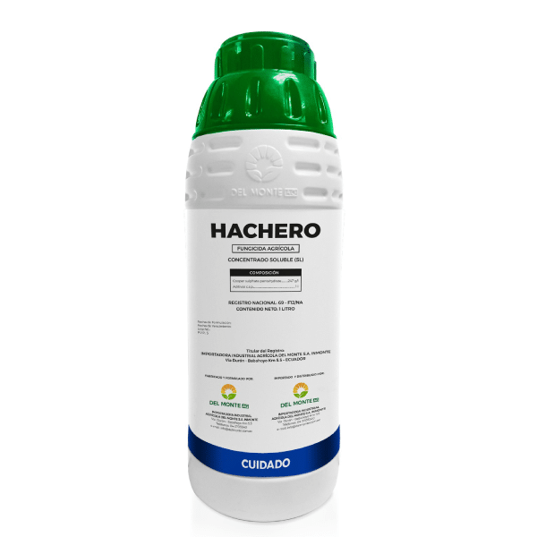 Hachero - Del Monte AG